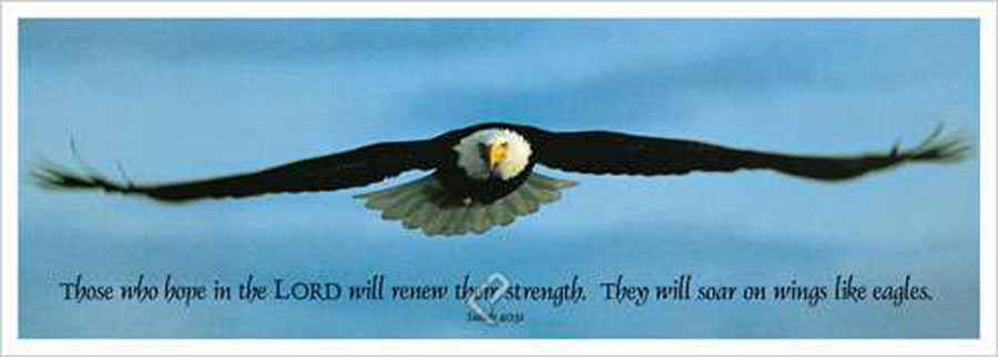 Inspirational - Eagle, Giclee Print on Arch Paper at Eurographics