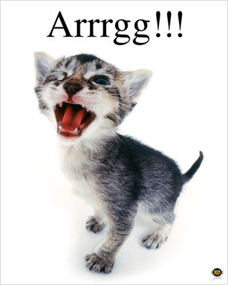 Arrrgg!!!, Poster par Yoneo Morita chez eurographics