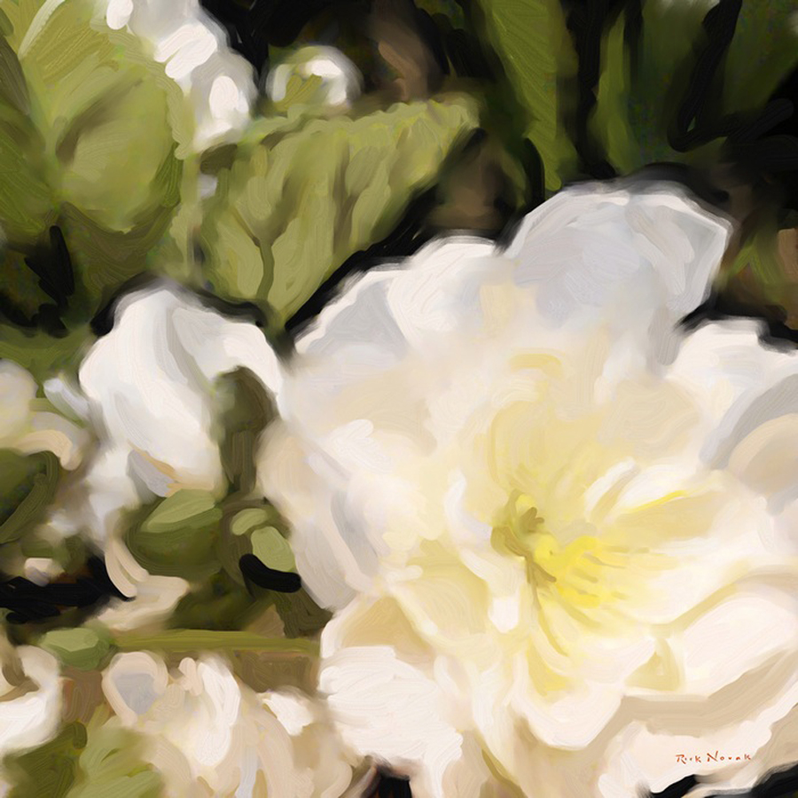 Novak - Roses 11, Giclee Print at Eurographics