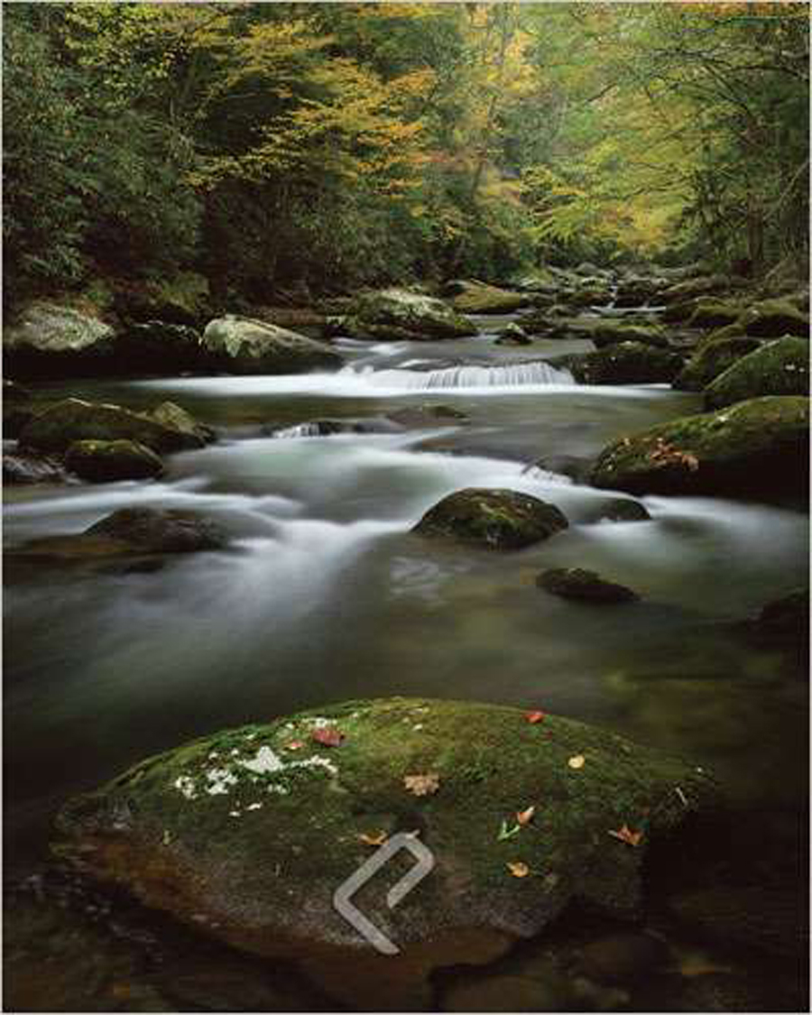 Jakes Creek, Art Print by Danny Burk at Eurographics