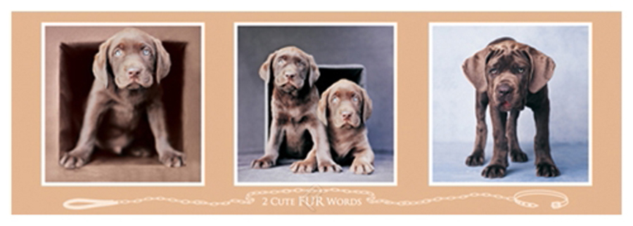 2 Cut Fur Words Giclee Print by Hale at Eurographics