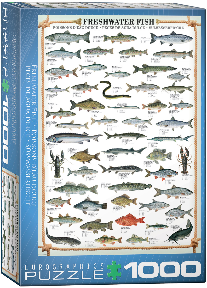 Freshwater Fish Jigsaw Puzzles at Eurographics