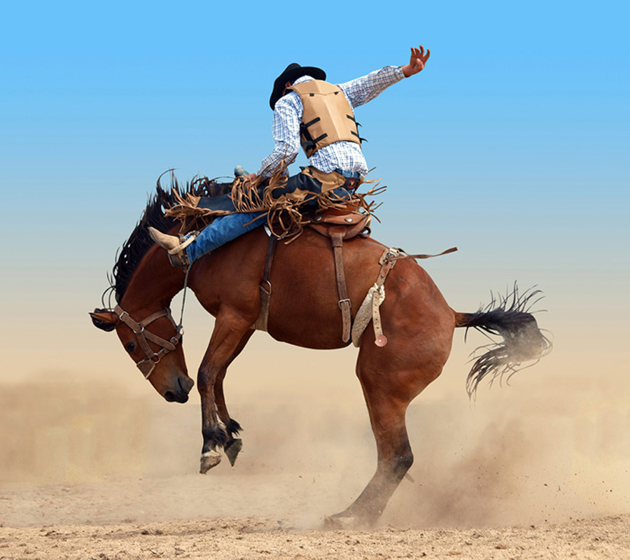 Bucking Rodeo Horse, Giclee photo prints at Eurographics