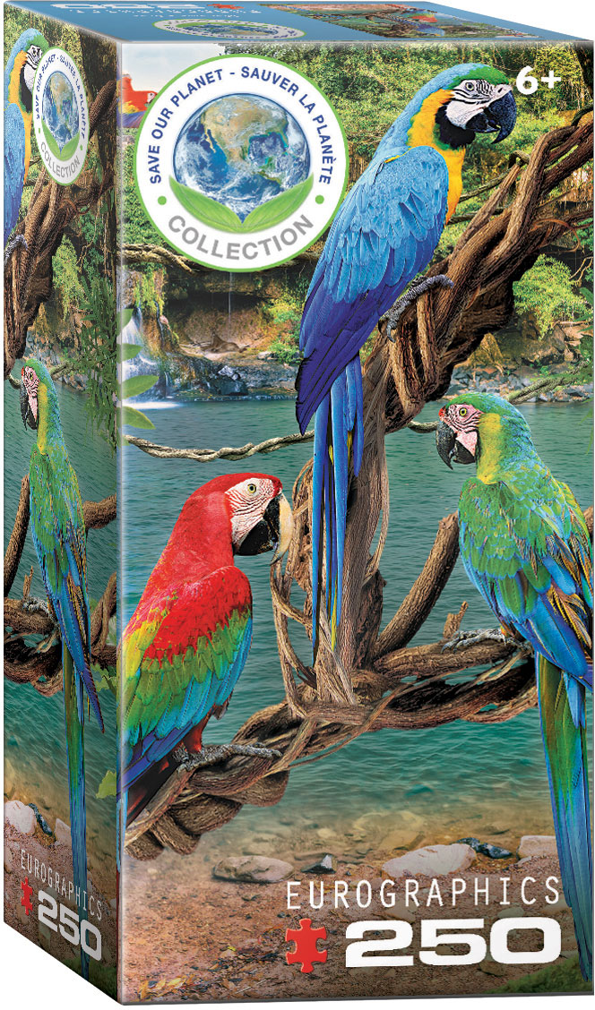 Macaws, Jigsaw Puzzle at Eurographics