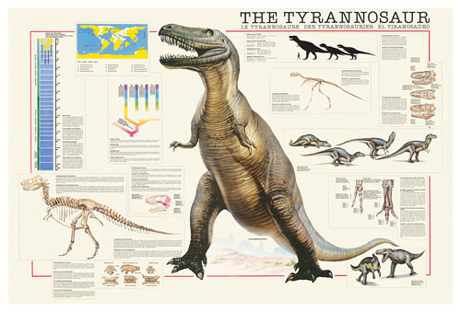 Tyrannosaurus, Giclee Print on Arch Paper by Libero Patrignani at ...