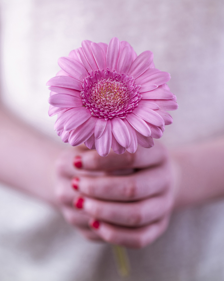 Girls Hands Holding a Flower