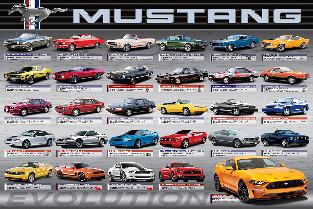 Ford Mustang Evolution 50th Ls Puzzle at Eurographics