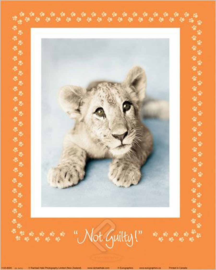 Not Guilty!, Poster par Rachael Hale chez eurographics