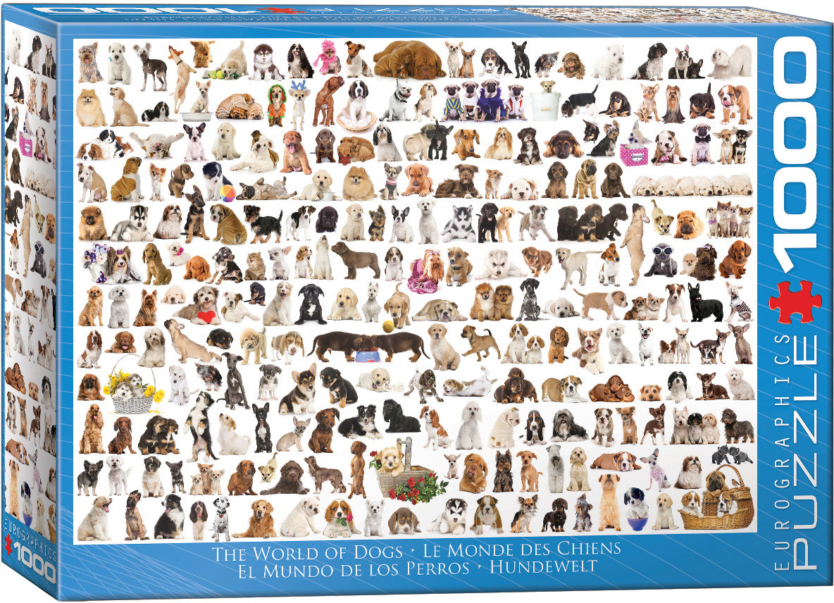 The World of Dogs at Eurographics
