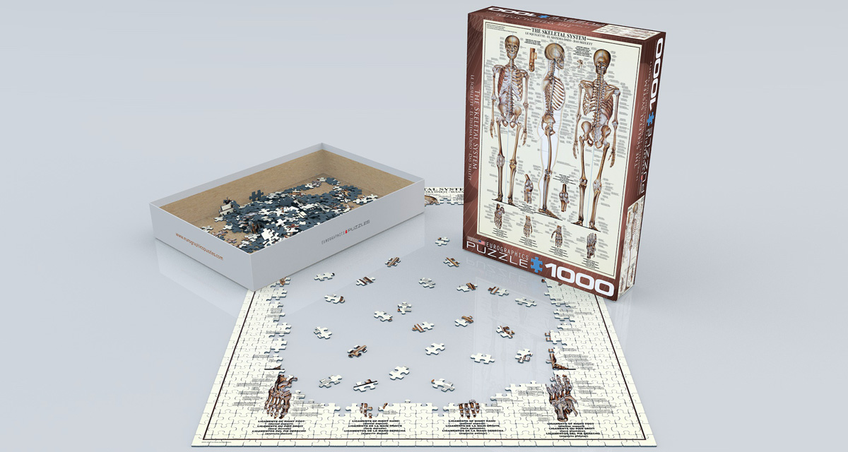 Skeletal System Jigsaw Puzzles at Eurographics
