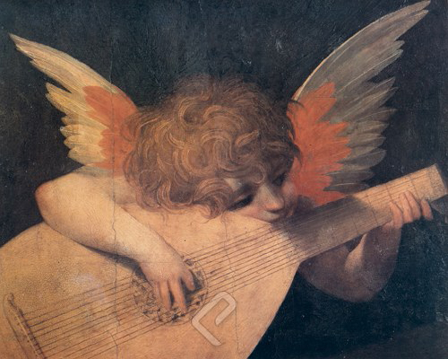 Musician Angel, Canvas by Rosso Fiorentino