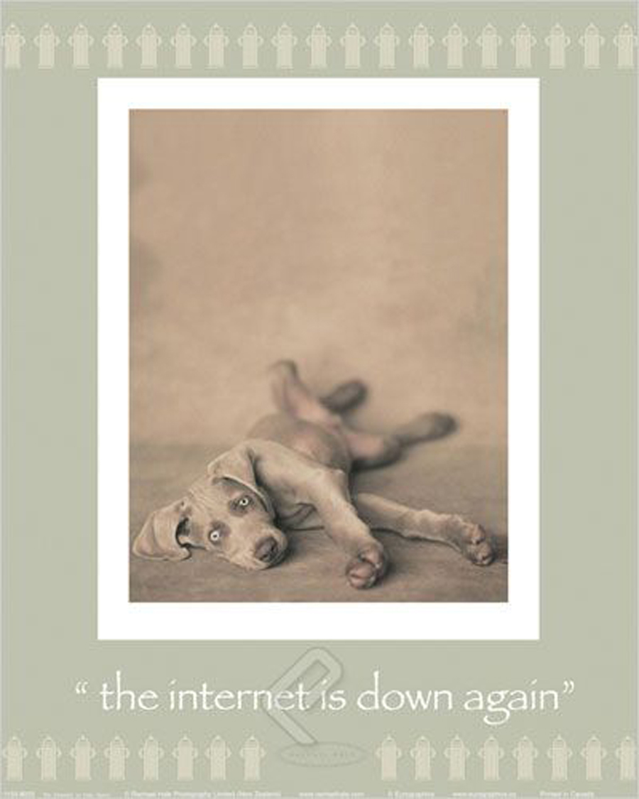 The Internet is Down Again at Eurographics