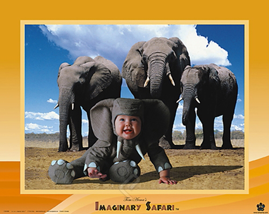 Imaginary Safari - Elephants, Poster par Tom Arma chez eurographics