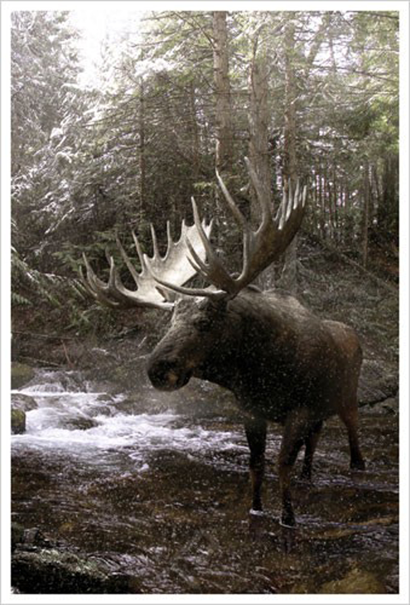 Moose Creek, Canvas by Steve Hunziker at Eurographics