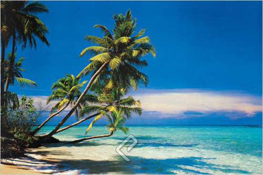 Tropical Beach, Art Print at Eurographics
