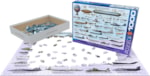 History of Aviation, Jigsaw Puzzle at Eurographics