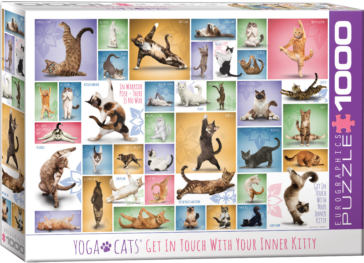 Yoga Cats at Eurographics