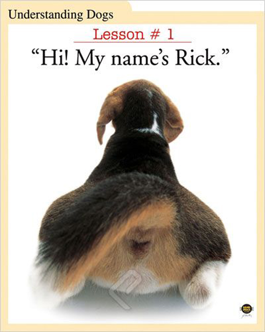 Understanding Dogs, Lesson #1 at Eurographics