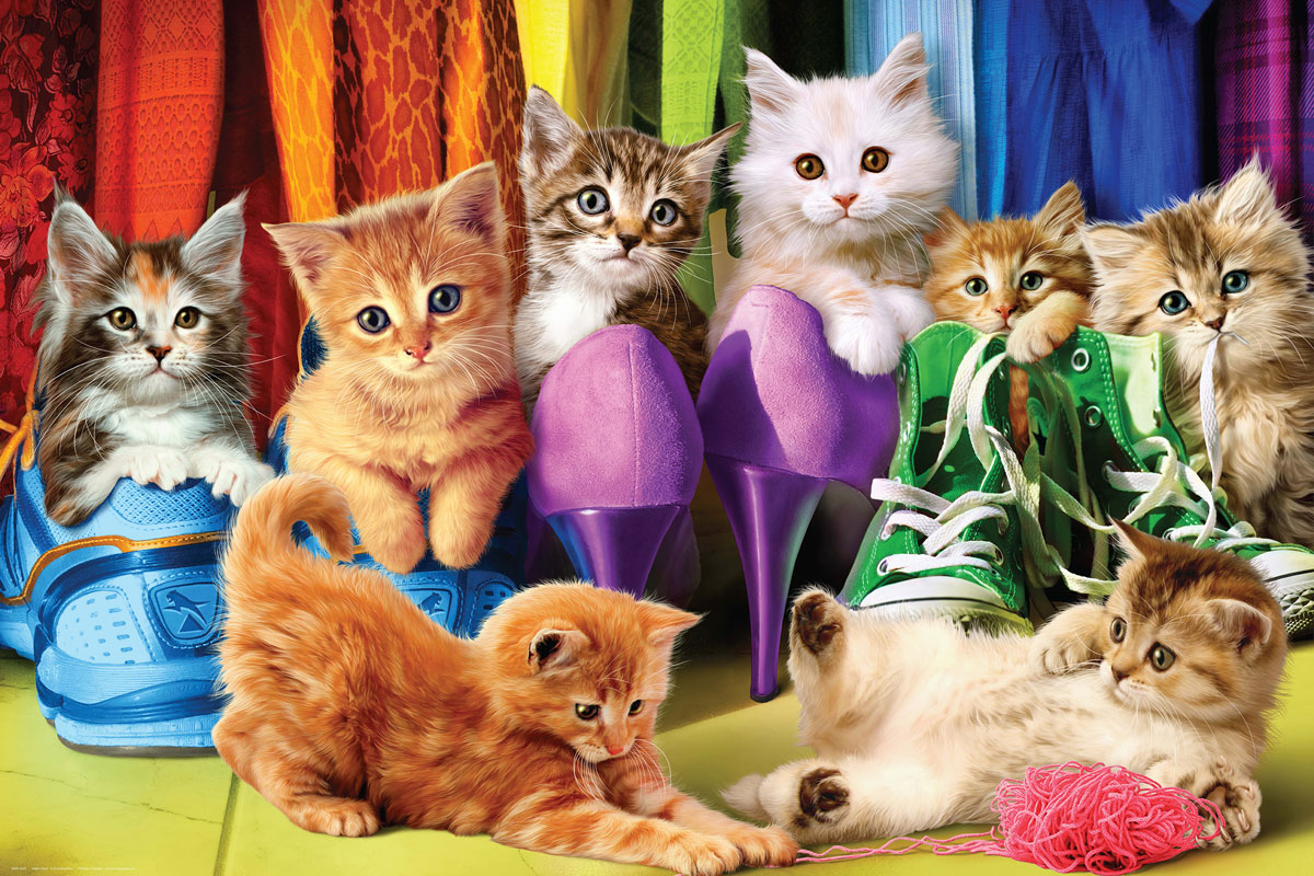 Fierté de chaton poster chez Eurographics