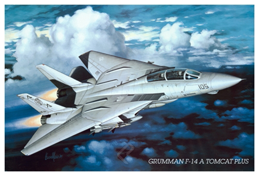 Grumman F-14 A Tomcat Plus, Fine Art Giclee Print at Eurographics
