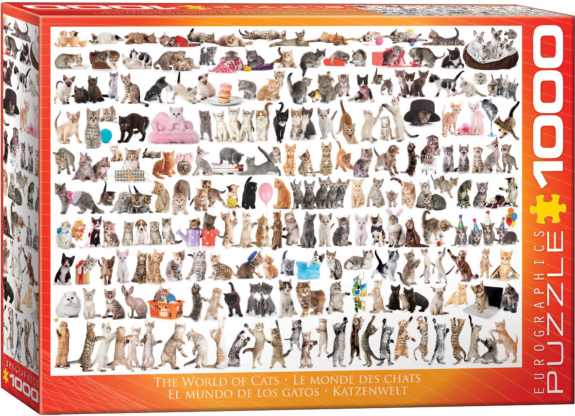 Cats (2000 pcs) at Eurographics
