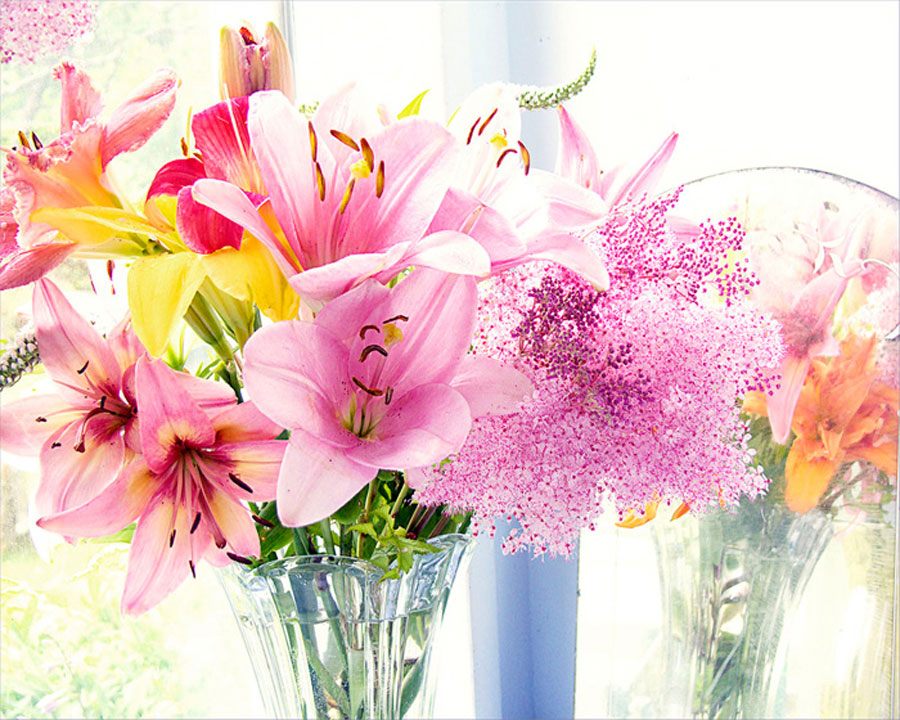 Hot Pink Lilies, Giclee archival prints at Eurographics