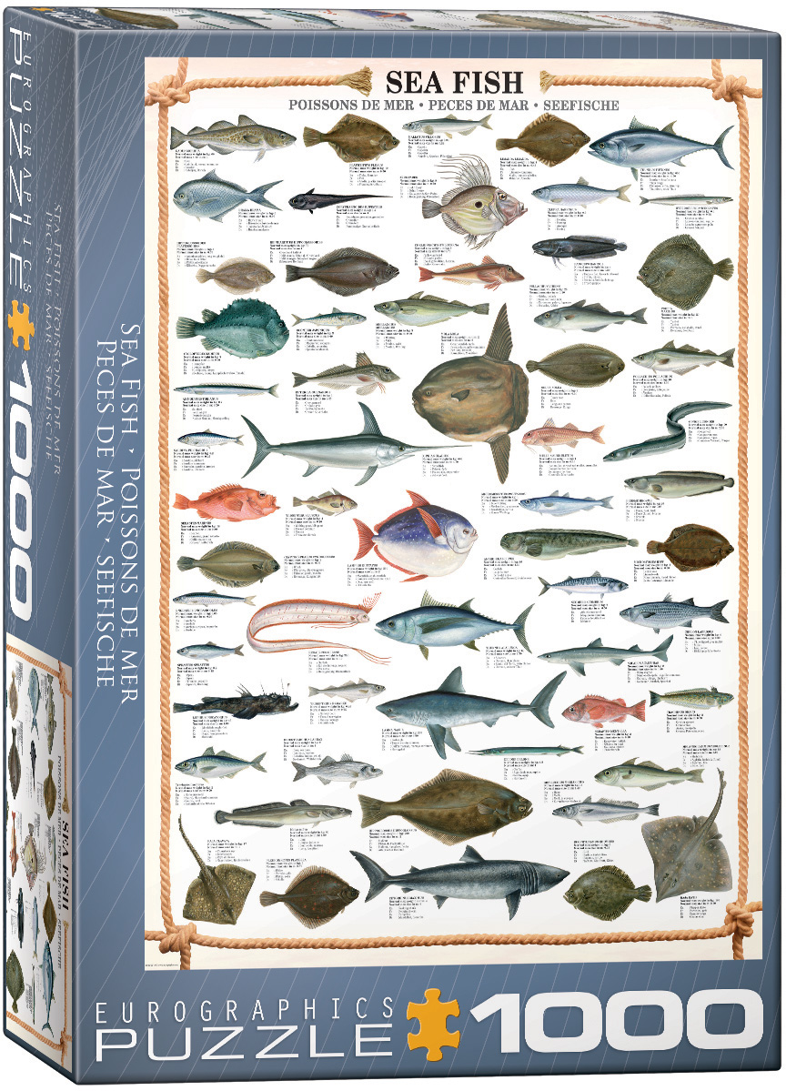 Sea Fish, Jigsaw Puzzle at Eurographics