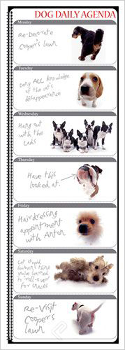Dog Daily Agenda Giclee Print by Morita at Eurographics