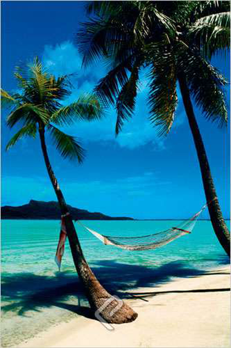 Peaceful Beaches, Art Print at Eurographics