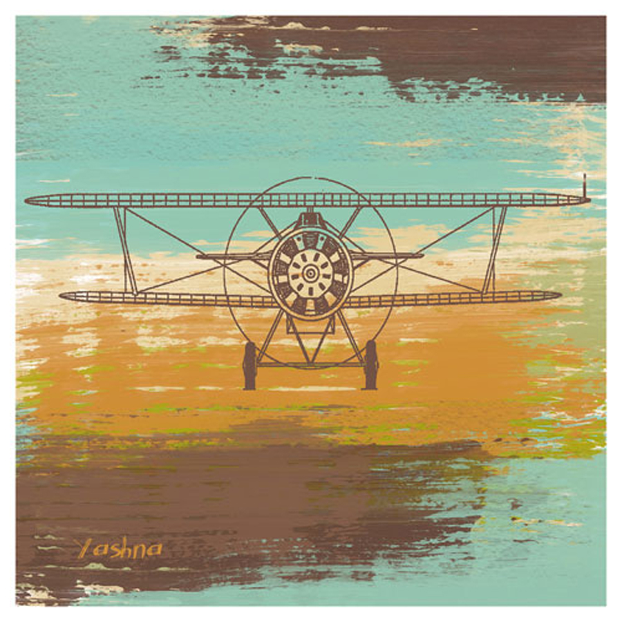 Biplane I, Giclee Print on Canvas by Yashna at Eurographics