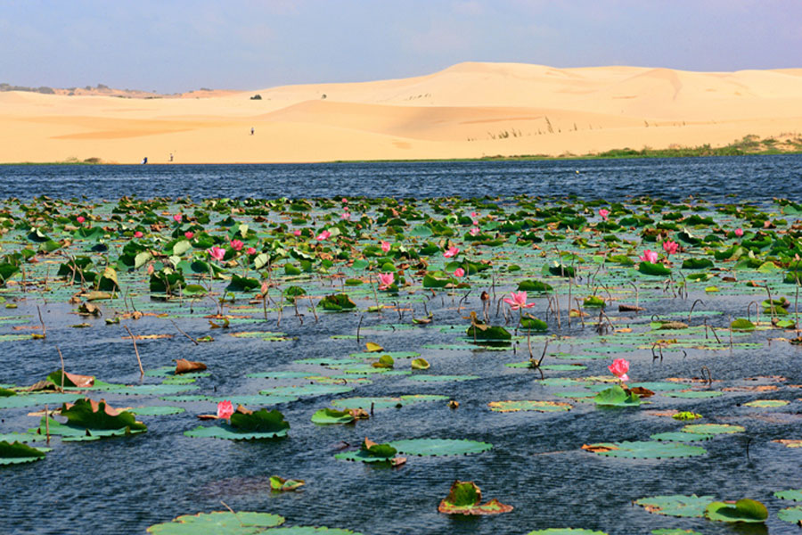 Lotus Lake and White Sand Dunes near Mui Ne, Dong Nam Bo at Eurographics