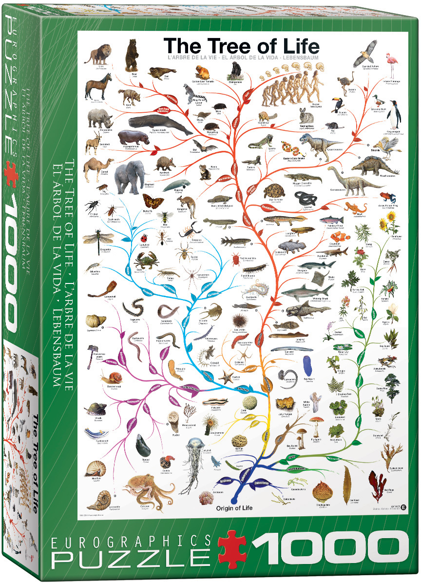 Evolution - The Tree of Life, Jigsaw Puzzle at Eurographics