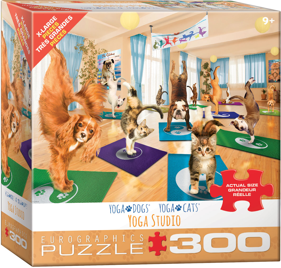 Yoga Studio , Puzzle at Eurographics