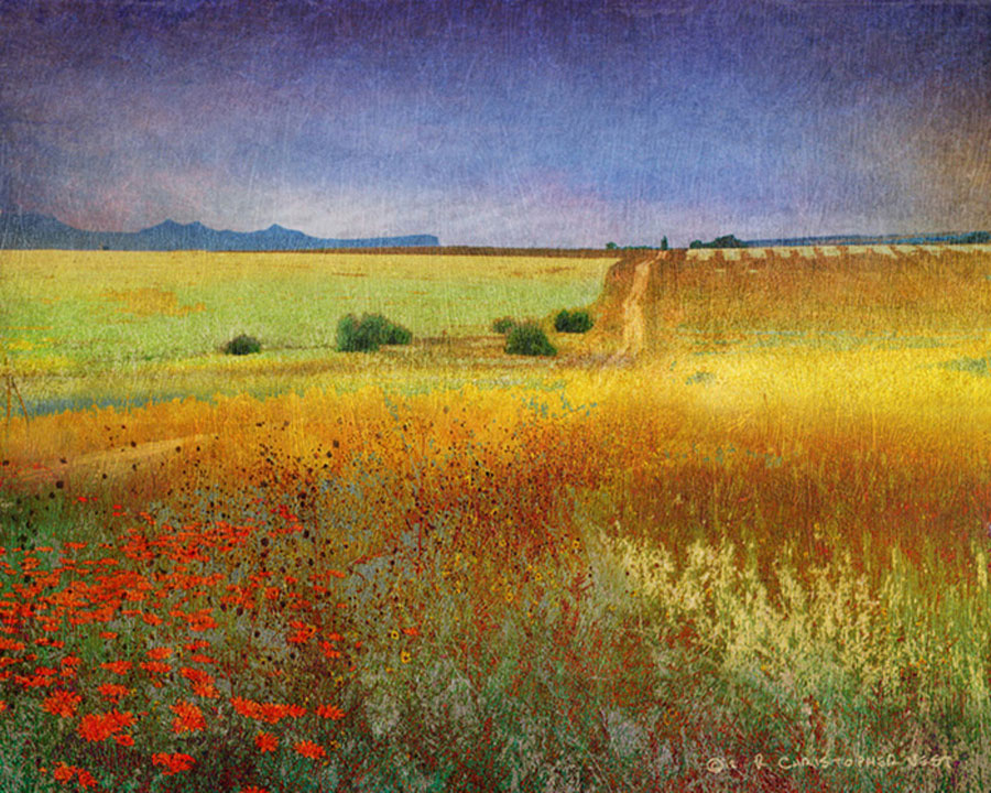 Branch Long Road, Giclee canvas prints at Eurographics