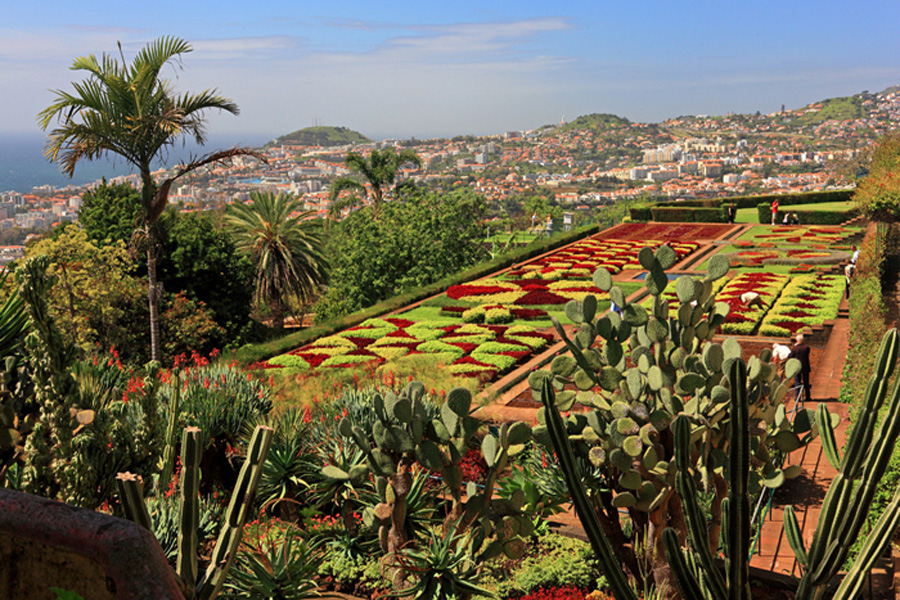 Flower Beds at the Botanical Garden with View of the City of Funchal ...